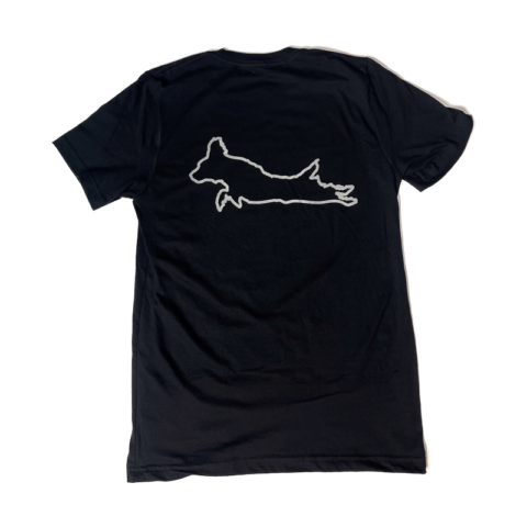 Top Knot Company - A Boykin Spaniel Brand